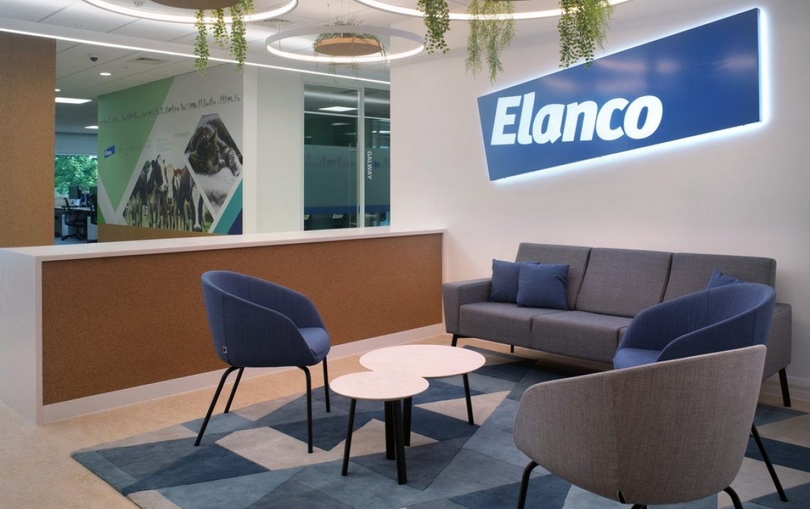 Office Design and Fit Out Case Studies | Morgan Lovell