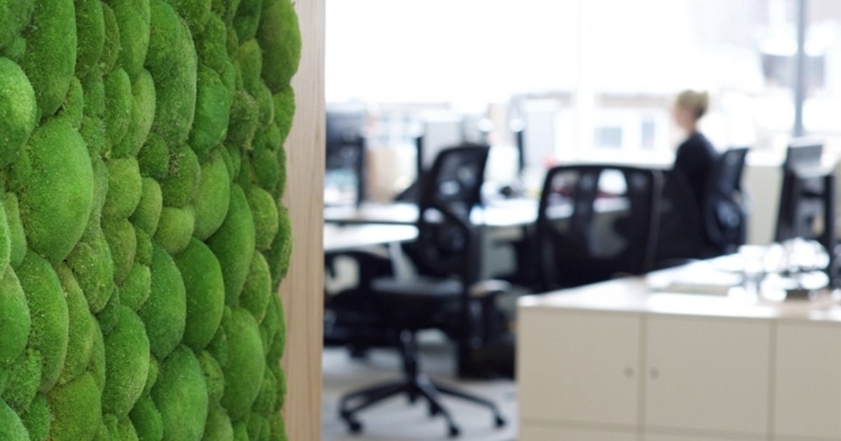 My office is bad for my health | Morgan Lovell