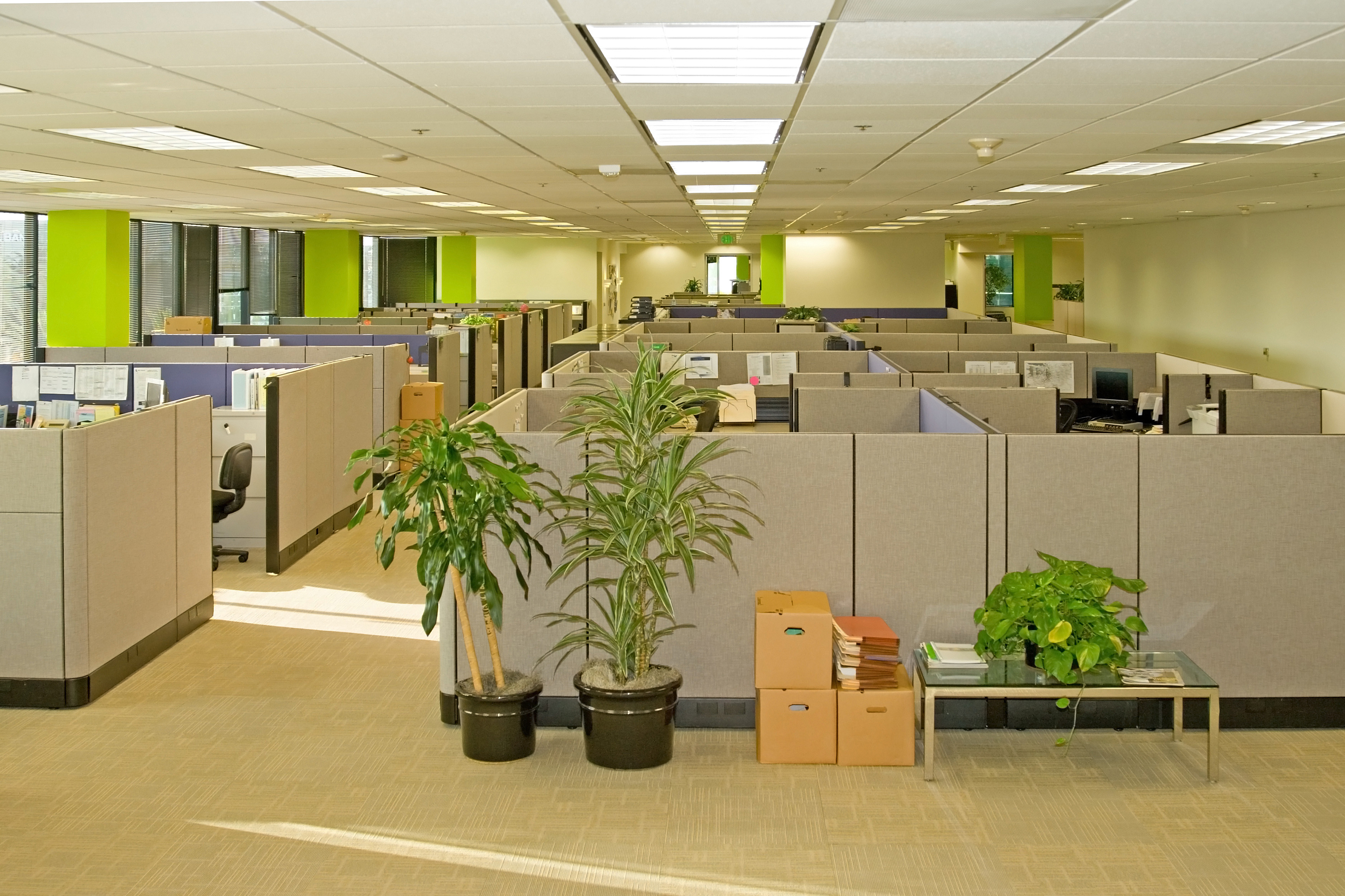 Industrial Design Office Cubicles The Evolution Of Office Design