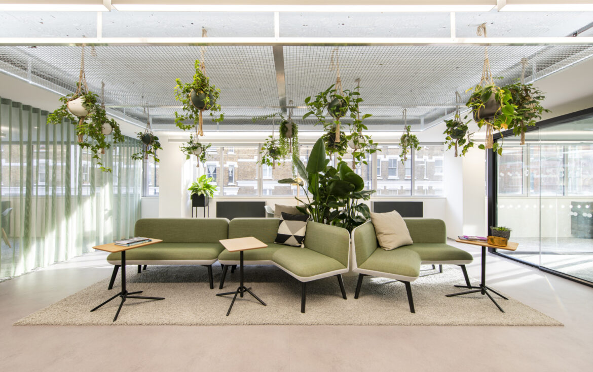 Office design trends 2025 | Morgan Lovell