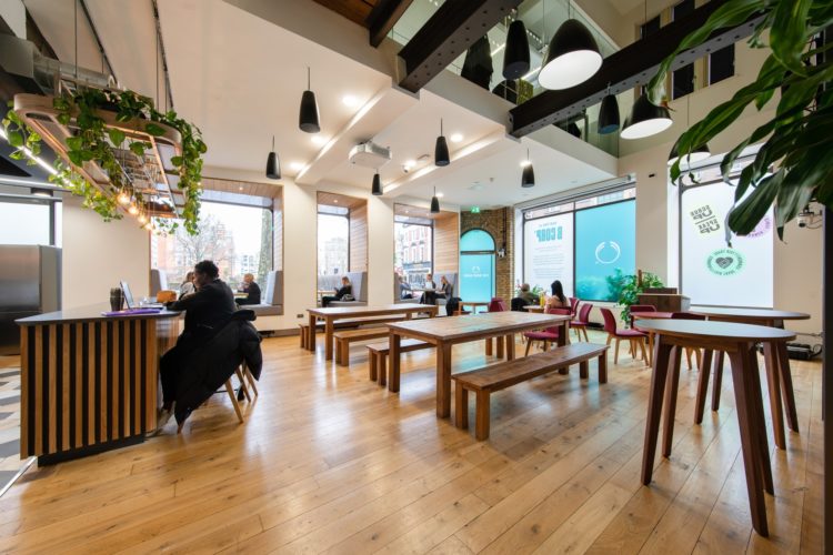 The Body Shop | Office Design & Fit Out | Morgan Lovell